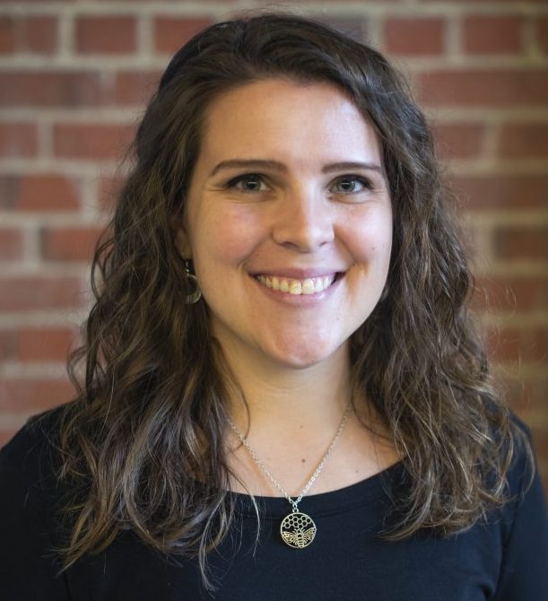 A Case for Media Literacy Education and Civics